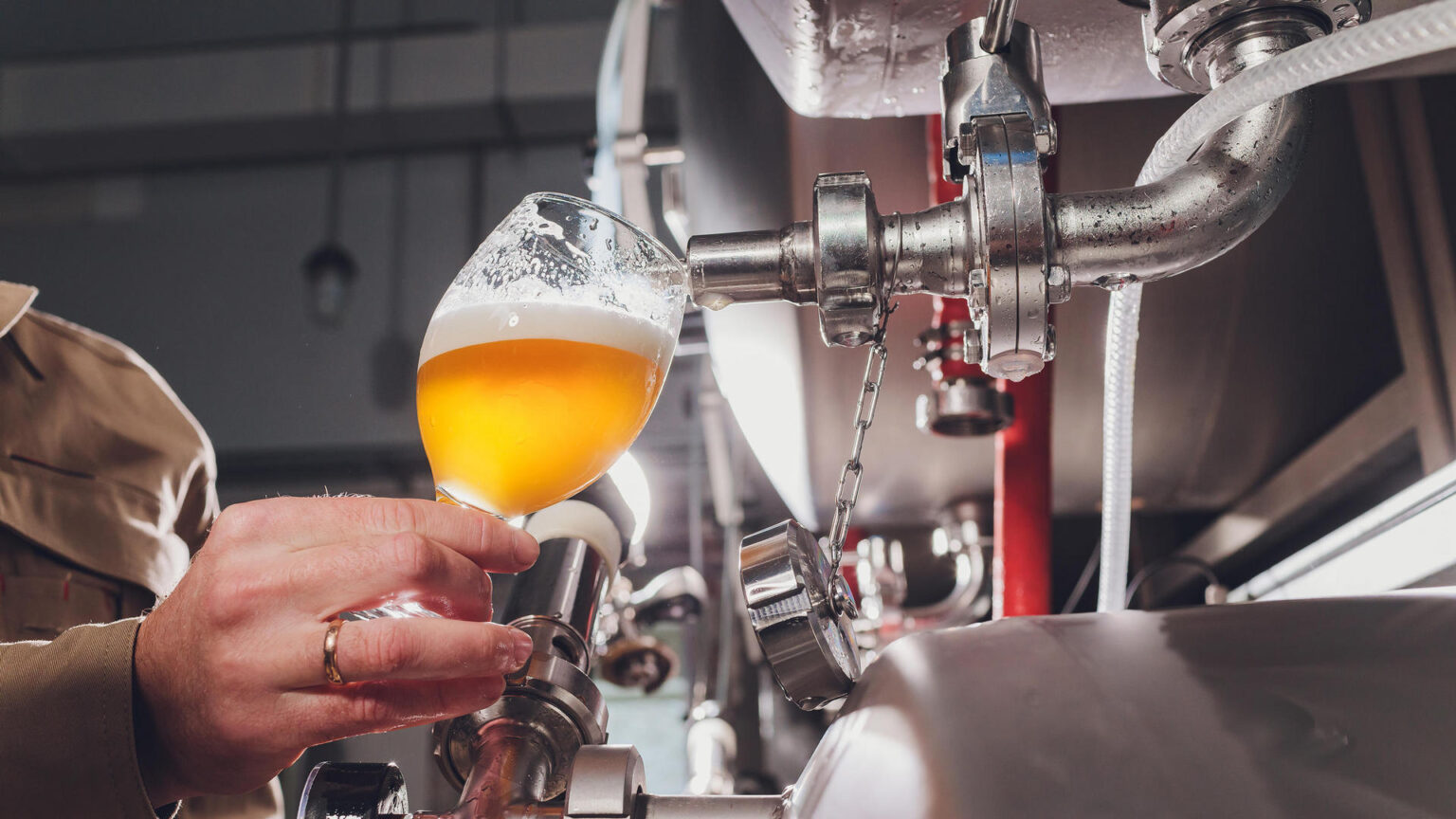 醸造研修プラン | クラフトビールカンパニー